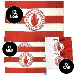 Buy GAA Tyrone Flag Bundle Ireland, Scoremore | Boulder Formats
